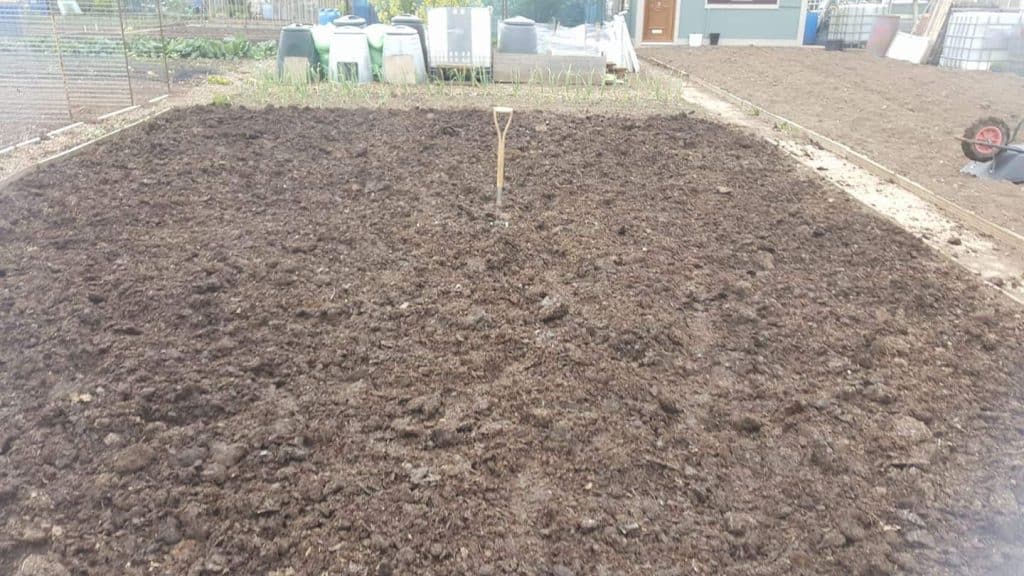 Giant Marrow A Step By Step Guide – Simplify Gardening