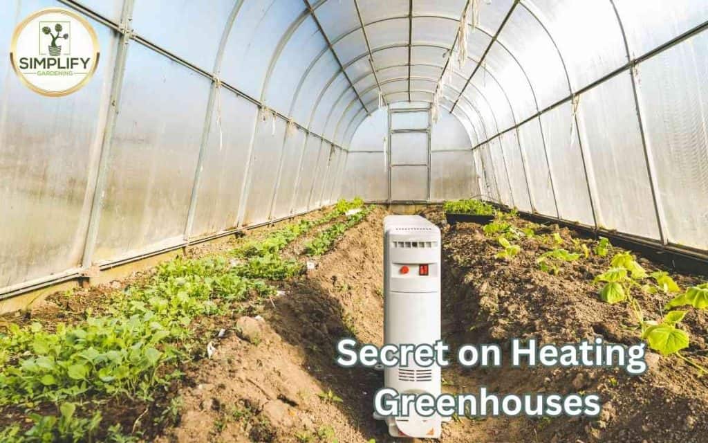 Slugs in Garden - 6 Proven Control Methods That Work - Simplify Gardening