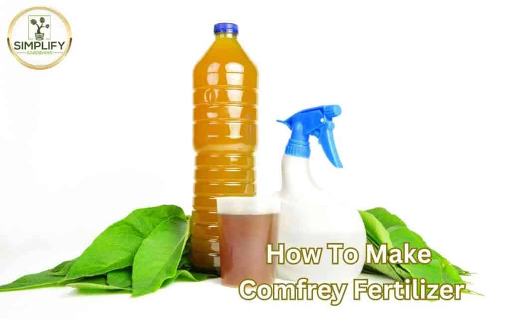 How To Make Comfrey Fertilizer (Free Plant Food) - Simplify Gardening