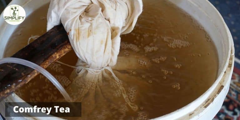 How To Make Comfrey Fertilizer (Free Plant Food) - Simplify Gardening