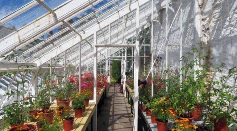 Greenhouse Roofing Materials and Designs, You Need to Know - Simplify ...