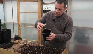 Why Perlite is the New Must-Have for Gardening Enthusiasts - Simplify ...