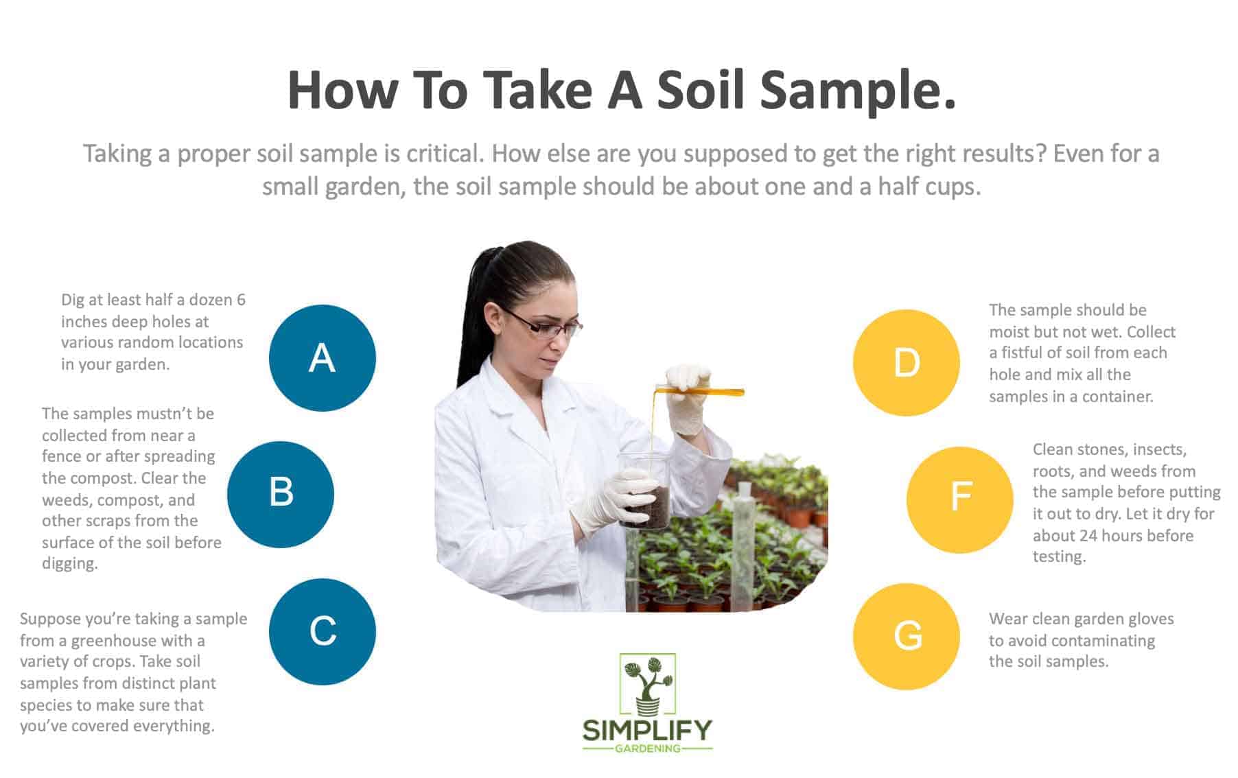 Should You Test Soil Before Planting A Garden? - Simplify Gardening