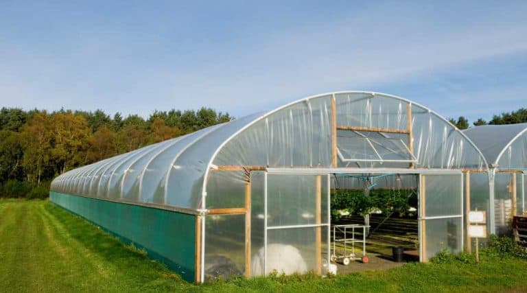 Strong Winds? No Problem! Secure Your Polytunnel - Simplify Gardening