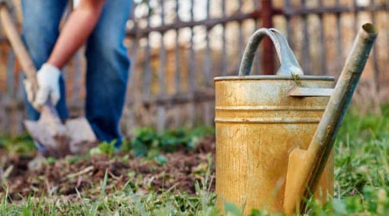 The Perfect Time To Dig Your Garden And Why! - Simplify Gardening