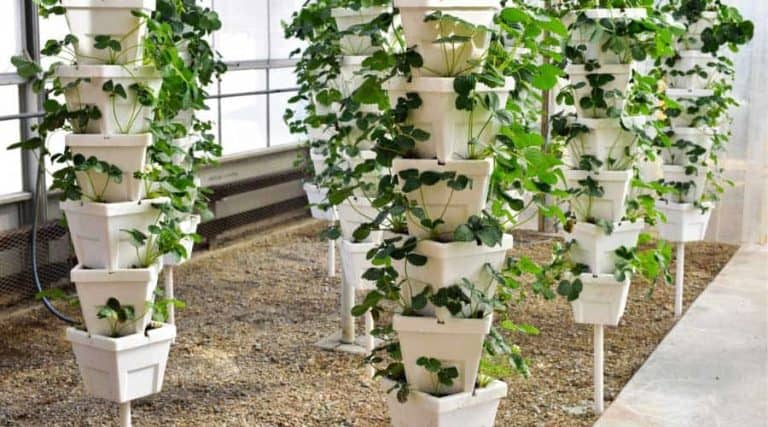 13 Amazing Garden Structure Ideas for a Beautiful Garden - Simplify ...