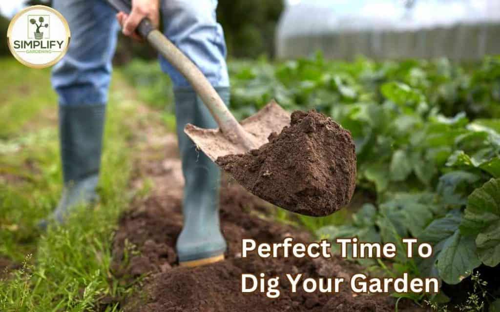 The Perfect Time To Dig Your Garden And Why! - Simplify Gardening