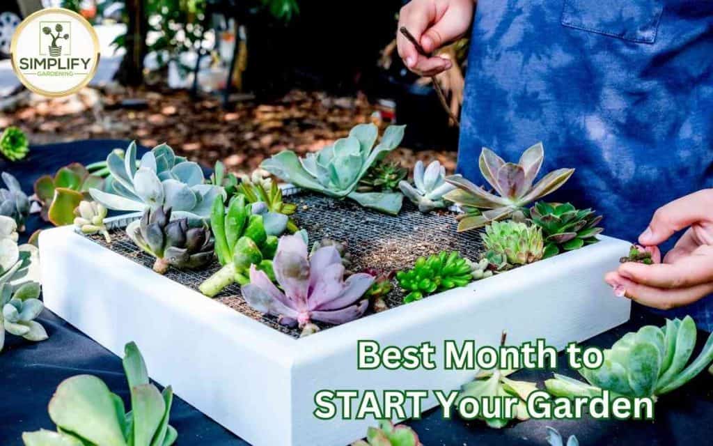 Greenhouse Gardening: Year-Round Growing Tips - Simplify Gardening