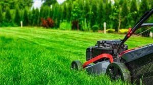 You Should NEVER Cut Your Grass in These Circumstances - Simplify Gardening