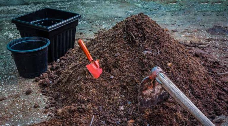 Can You Use Compost Instead Of Potting Soil? - Simplify Gardening