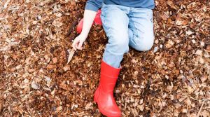 Is Mulch A Fire Hazard? How To Stay Safe - Simplify Gardening