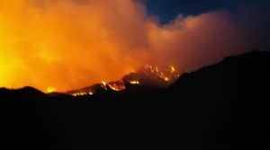 Is Mulch A Fire Hazard? How To Stay Safe - Simplify Gardening