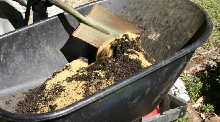 The Truth About Adding Sand To Your Garden Soil Pros and Cons ...