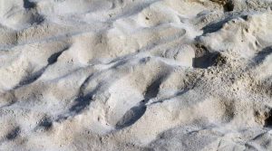 The Truth About Adding Sand To Your Garden Soil Pros and Cons ...