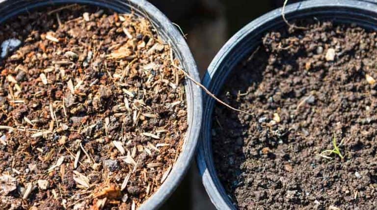 The Truth About Adding Sand To Your Garden Soil Pros and Cons ...