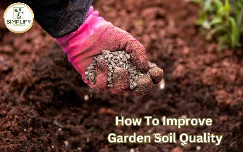 9 Steps on How To Improve Garden Soil Quality - FAST - Simplify Gardening