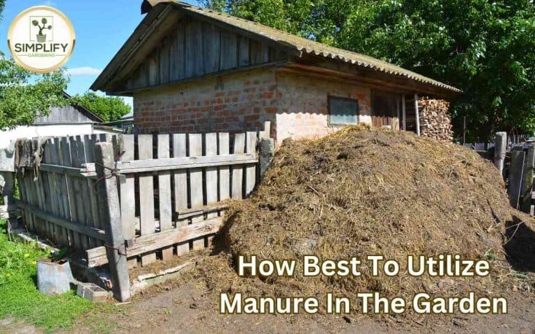 How Best To Utilize Manure In The Garden - Simplify Gardening