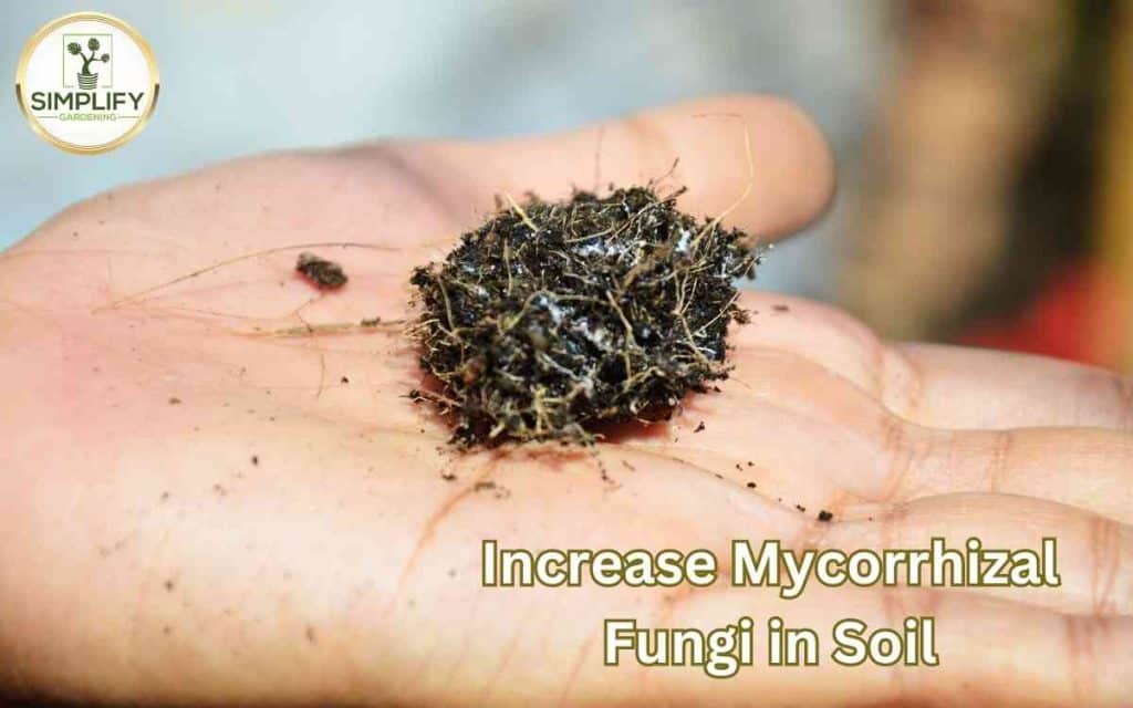 The Truth About Adding Sand To Your Garden Soil Pros and Cons ...