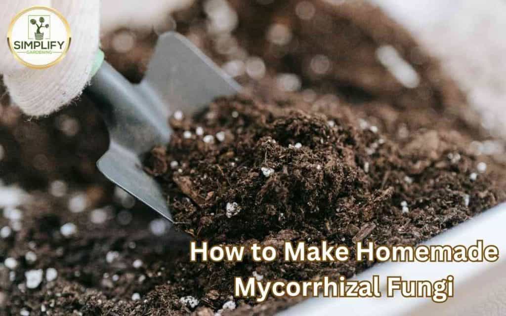 How to Rotate Crops in Raised Beds - Simplify Gardening