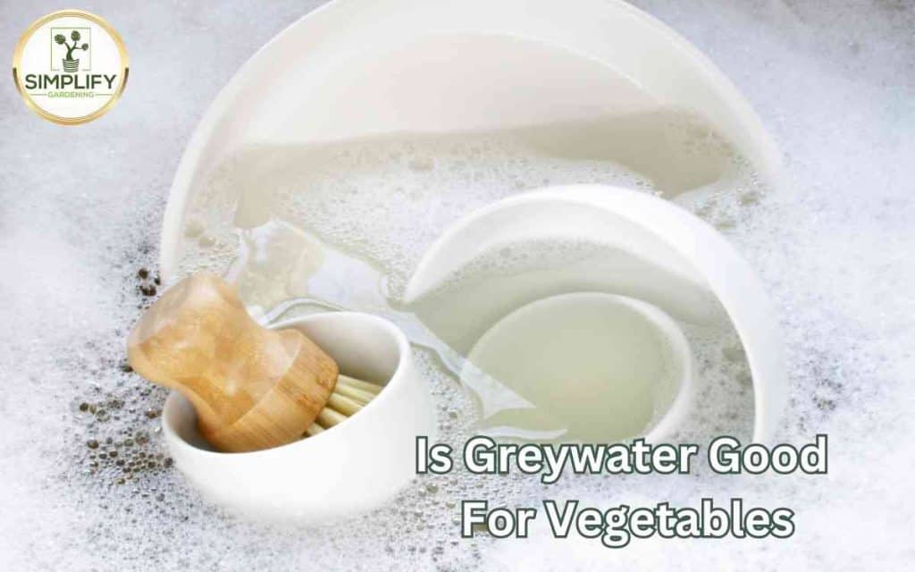 How to Clean a Greenhouse with Jeyes Fluid - Simplify Gardening