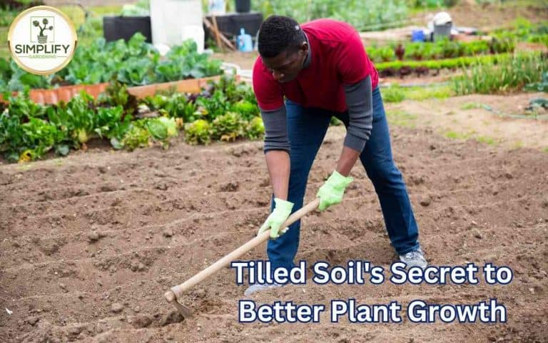 The Truth About Adding Sand To Your Garden Soil Pros and Cons ...