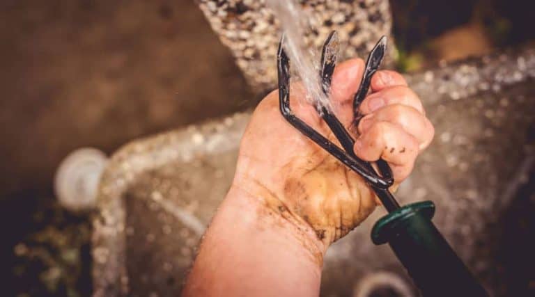 How to Clean a Greenhouse with Jeyes Fluid - Simplify Gardening