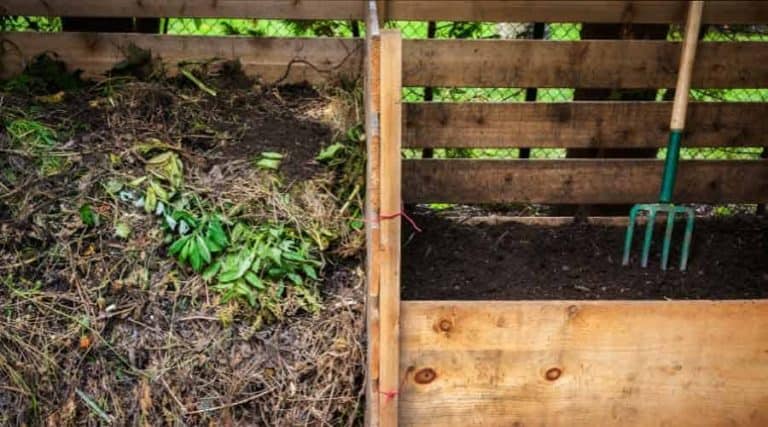 Compost bin size: How big do you need it? - Simplify Gardening