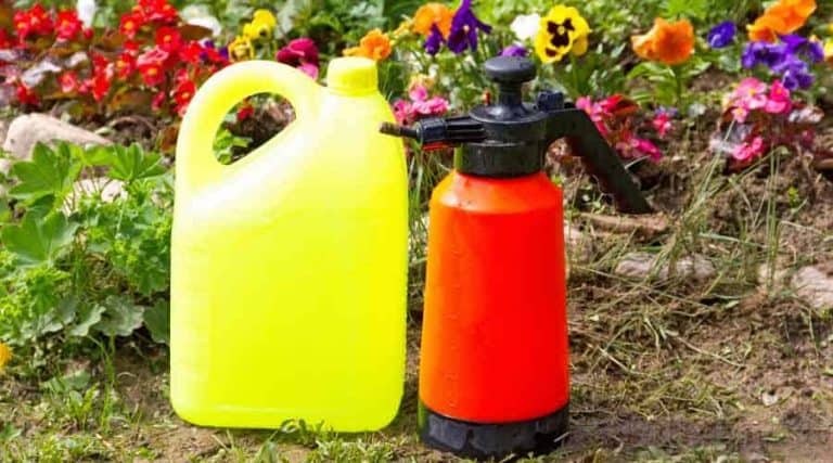 Does Miracle-Gro Go Bad? The Facts - Simplify Gardening