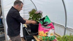 Does Miracle-Gro Go Bad? The Facts - Simplify Gardening