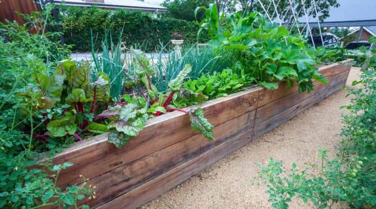 How to Rotate Crops in Raised Beds - Simplify Gardening