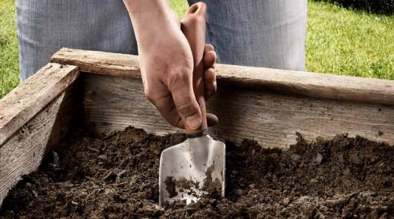 How to Rotate Crops in Raised Beds - Simplify Gardening