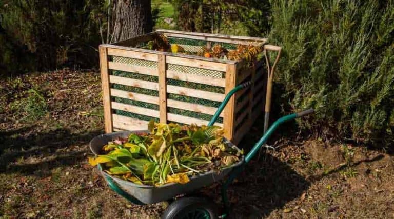 How Best To Utilize Manure In The Garden - Simplify Gardening