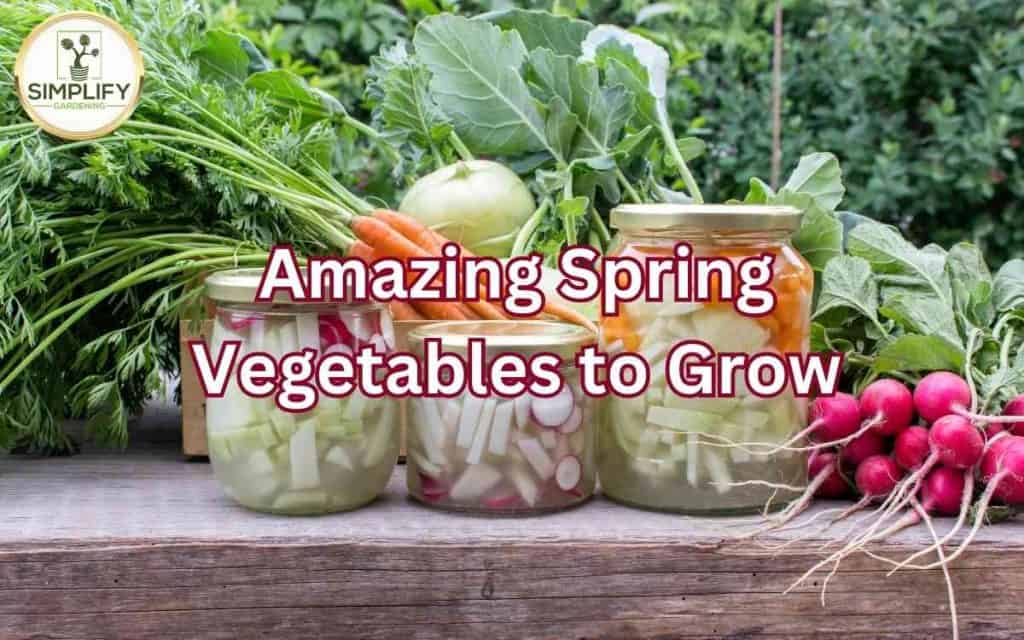 15 Amazing Spring Vegetables to Grow Like a Professional - Simplify ...