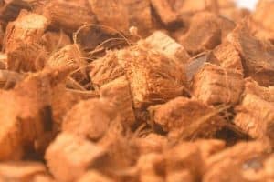 The Truth About Coconut Coir - What You Need To Know - Simplify Gardening