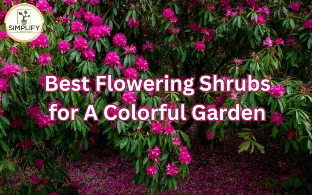 The Science Behind Weeds: How to Control Their Growth - Simplify Gardening