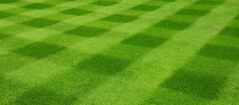 How to Mow Your Lawn (5 Different Patterns) - Simplify Gardening