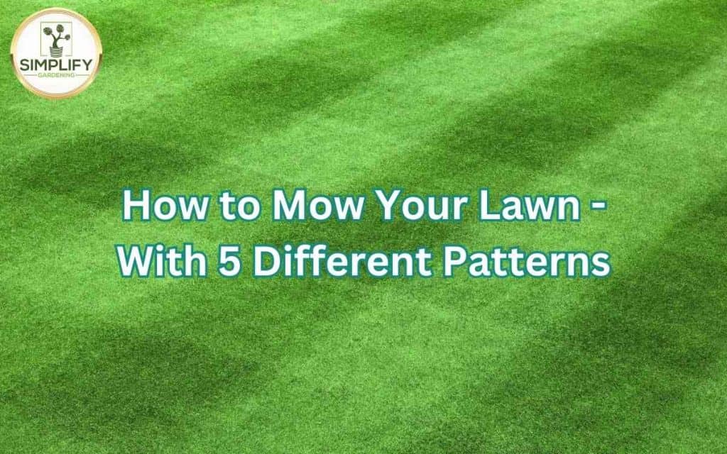 How to Mow Your Lawn (5 Different Patterns) - Simplify Gardening