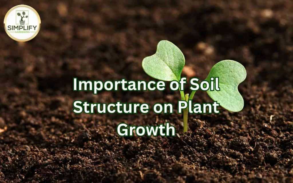 Is Soil Structure Important for Plant Growth? Complete Guide - Simplify ...