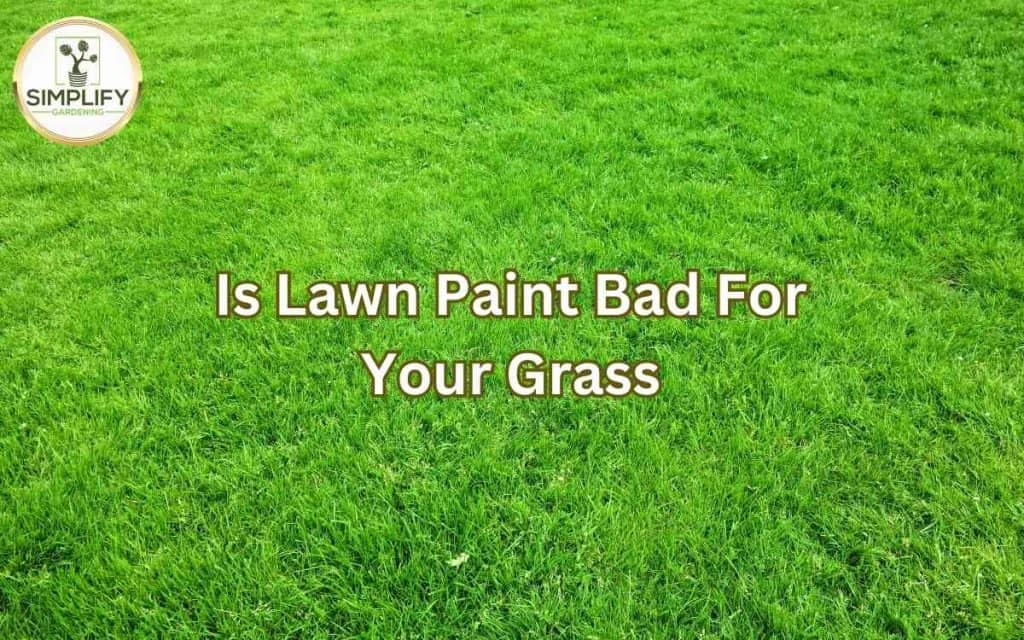 Lawn Care - Simplify Gardening