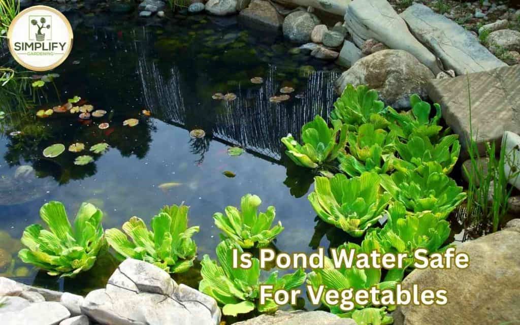 Bokashi Composting Made Easy: A Step-by-Step Guide - Simplify Gardening