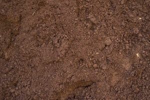 Is Soil Structure Important for Plant Growth? Complete Guide - Simplify ...