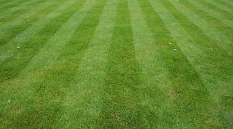 How to Mow Your Lawn (5 Different Patterns) - Simplify Gardening