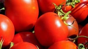 Why Are Tomato Skins Tough? (How to Avoid it) - Simplify Gardening