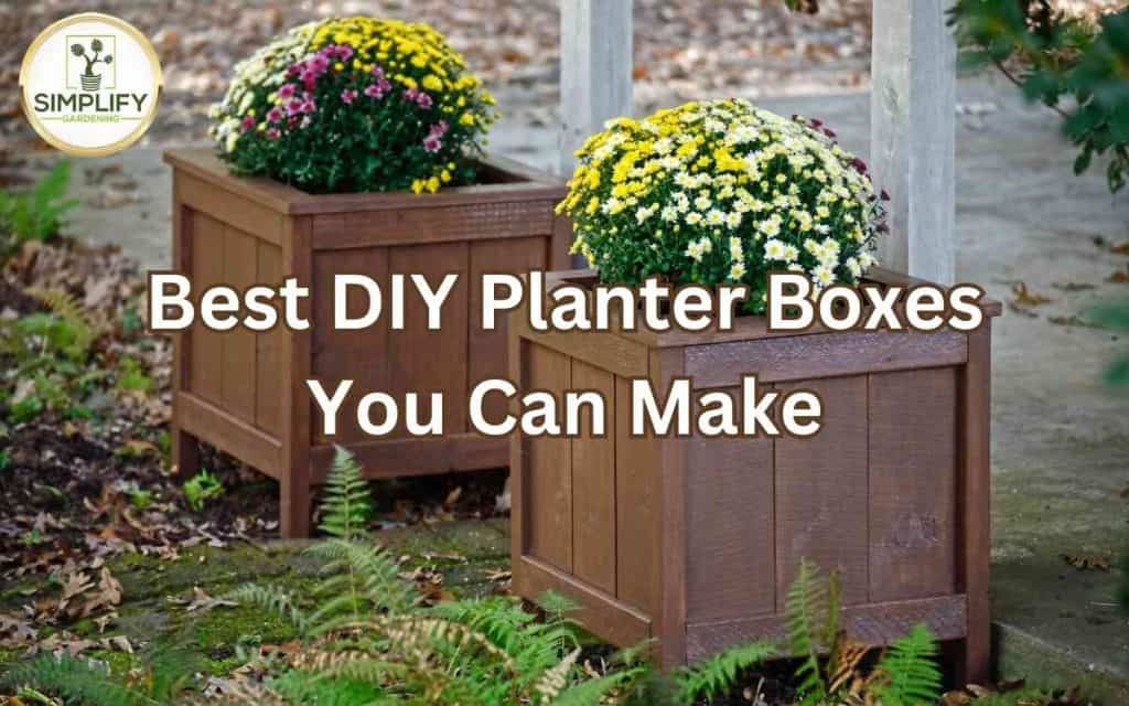 Get Your Garden Growing: Leaf Propagation Made Easy - Simplify Gardening