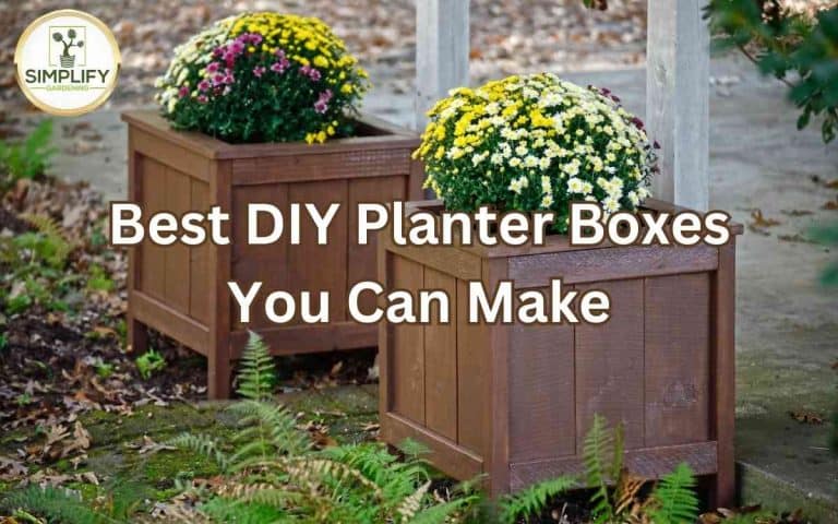 20 Best DIY Planter Boxes You Can Make Now! - Simplify Gardening