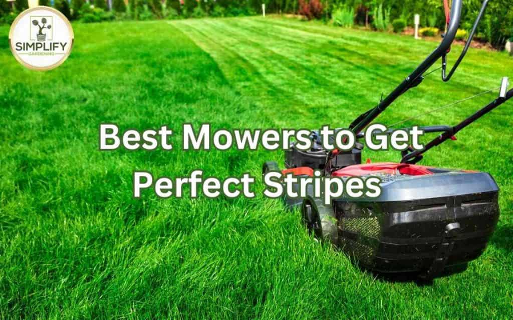 9 Best Mowers to Get Perfect Stripes - Simplify Gardening