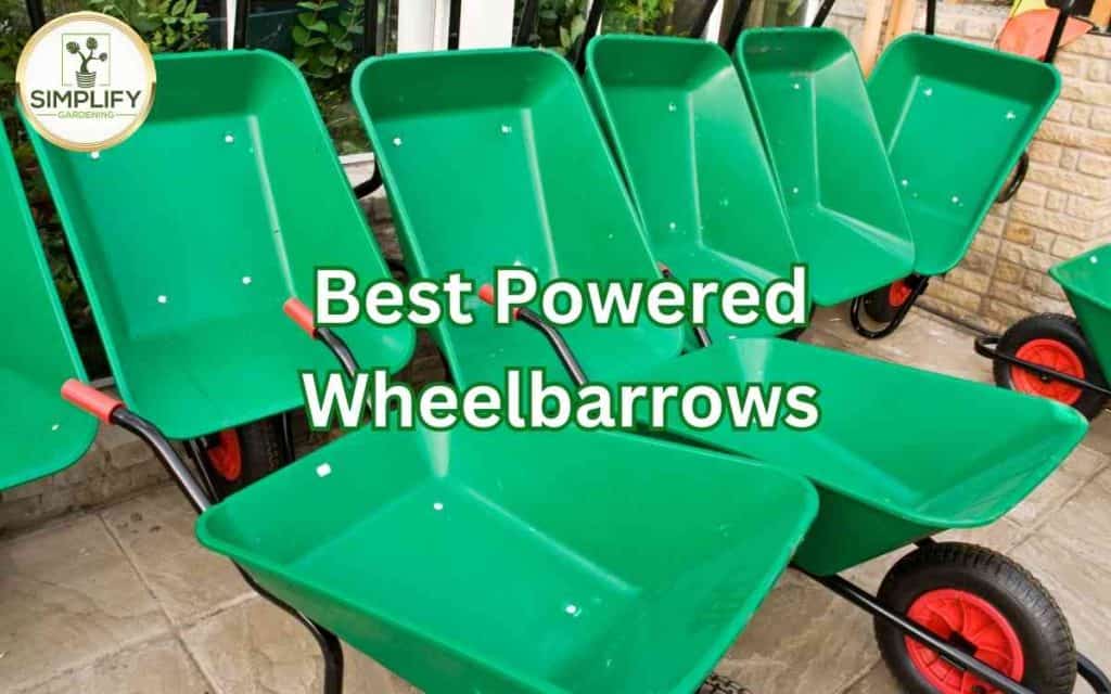 9 Best Powered Wheelbarrows To Make Life Easier - Simplify Gardening