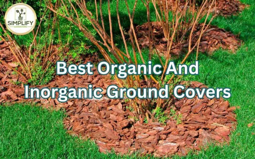 Uncovering the Truth About Composting: What You Need to Know - Simplify ...