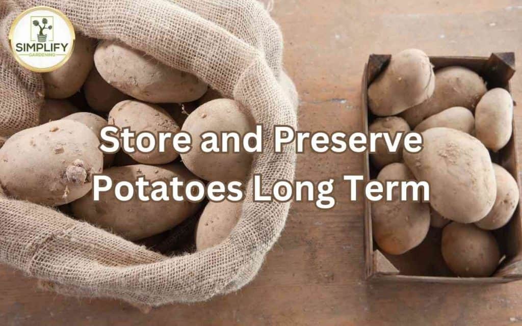 How To Store and Preserve Potatoes Long Term The Perfect Way - Simplify ...