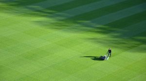 9 Best Mowers to Get Perfect Stripes - Simplify Gardening